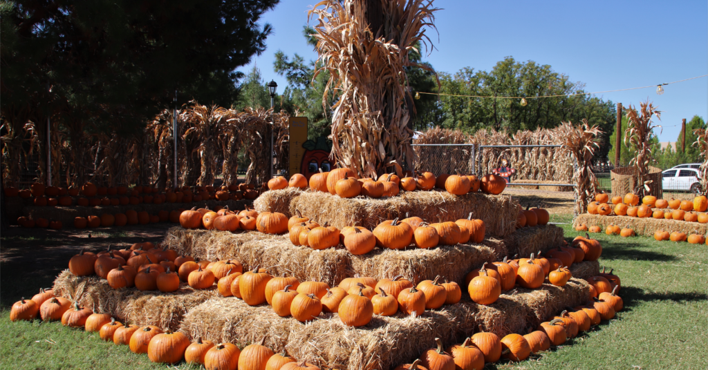 20 Best West Valley (and beyond) Pumpkin Patches, Haunted Houses and ...